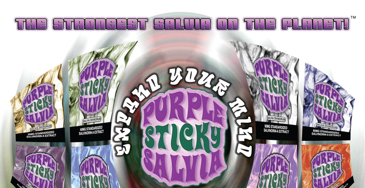 Buy Salvia Divinorum Standardized Extracts Online – Purple Sticky